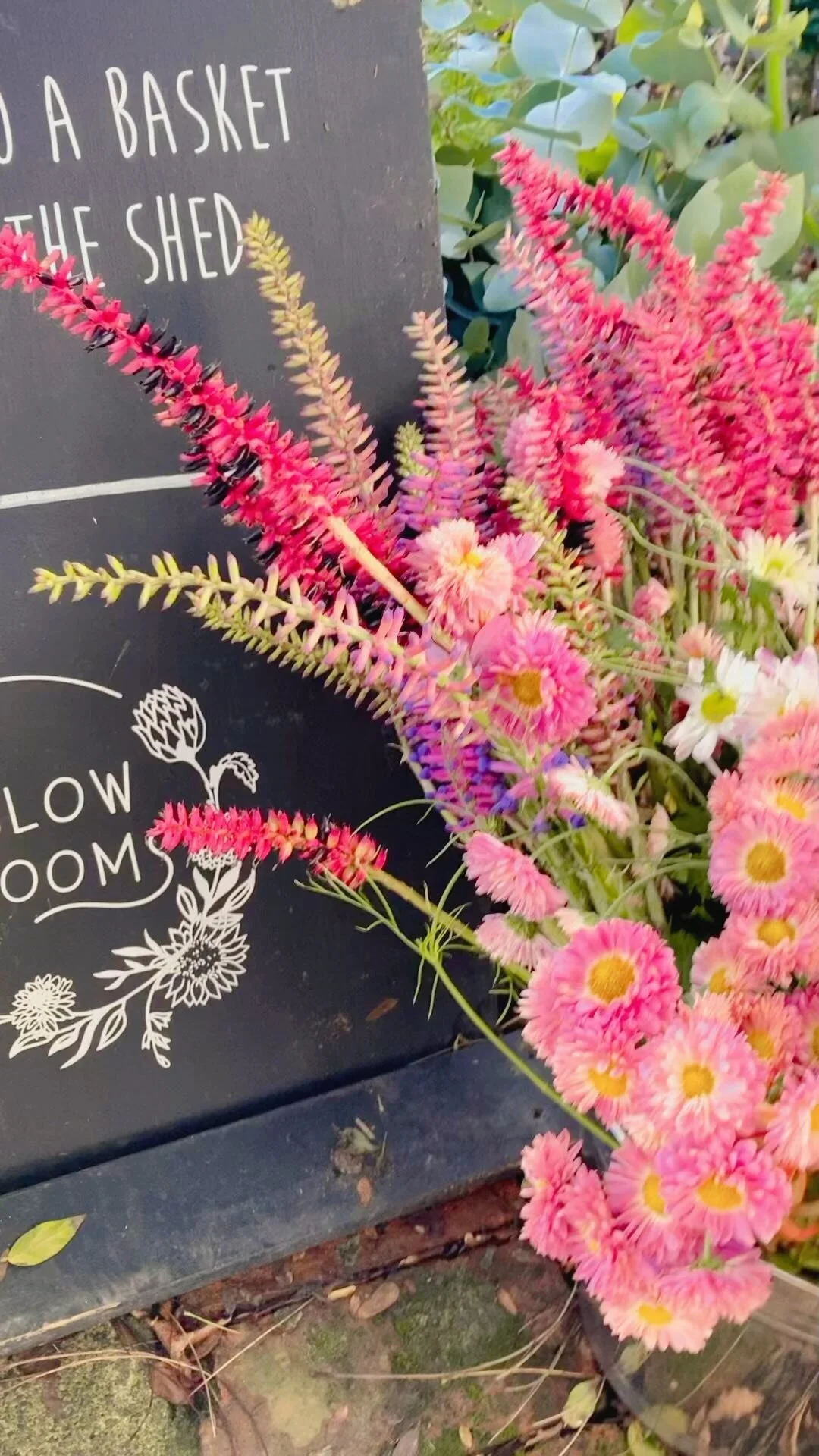 Slow Blooms Pick Your Own Cut Flowers And Herbs In Matakana