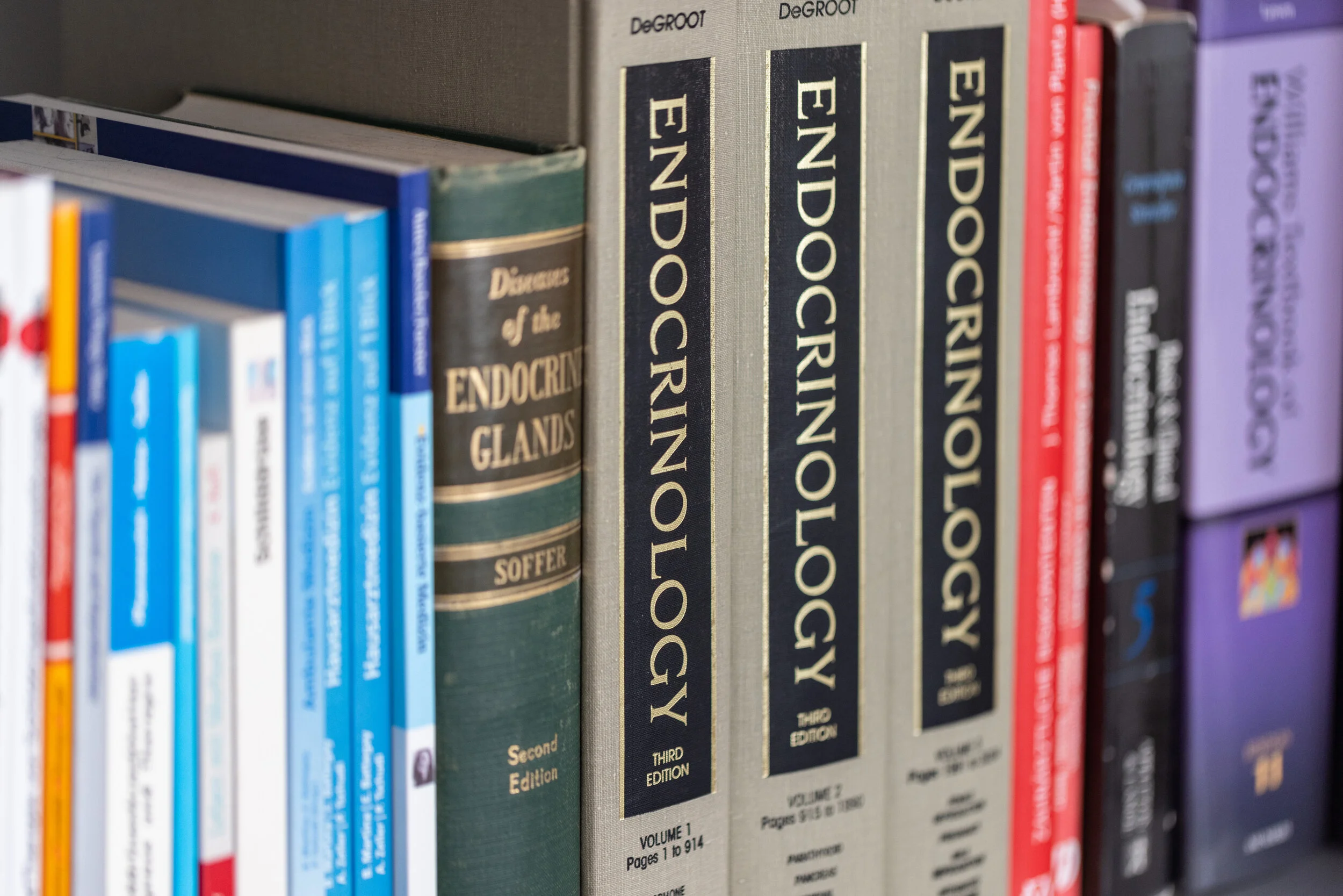 Publikationen — Endonet