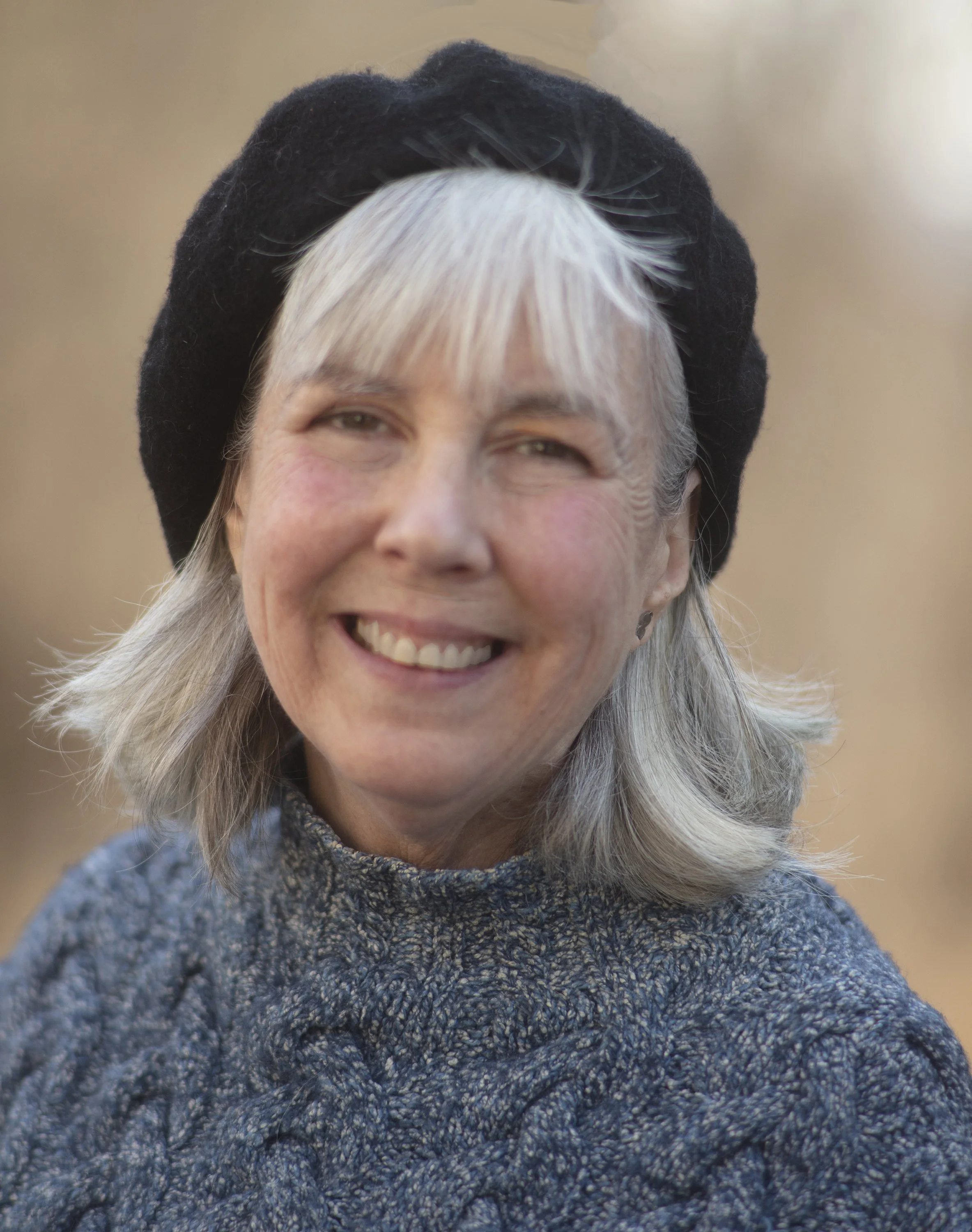 2024 Candidates — Schoharie County Democrats