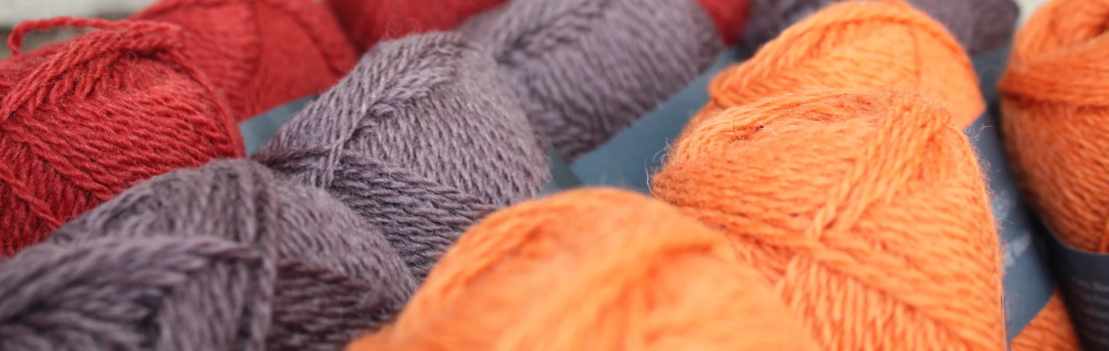 Shop — Cambrian Wool