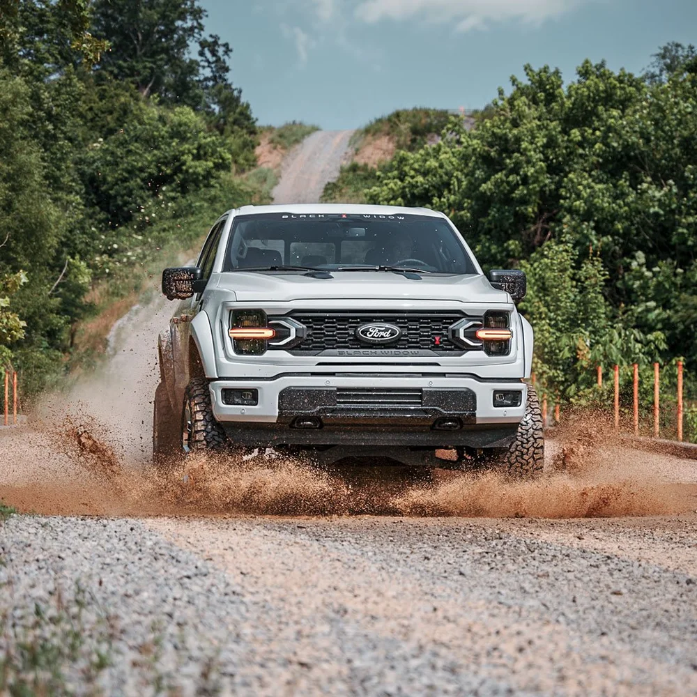 Ford F-150 — Black Widow Lifted Trucks