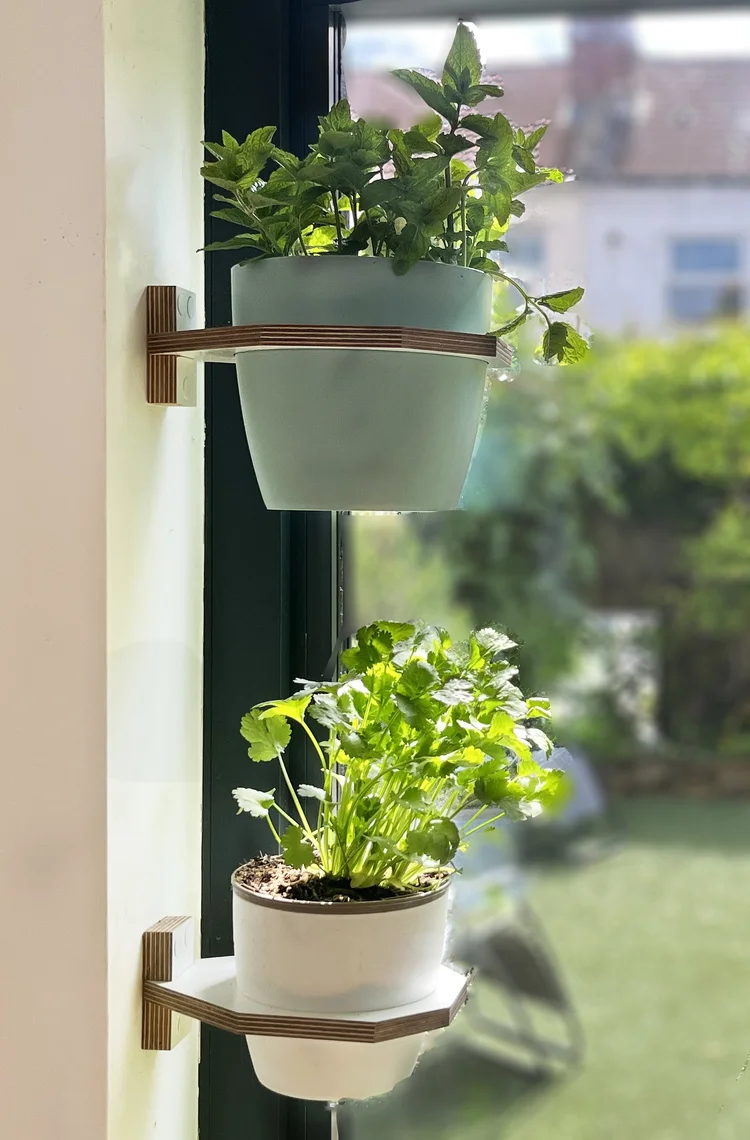 Large Wall mounted planter, Large indoor planter — Woodbrooke Design