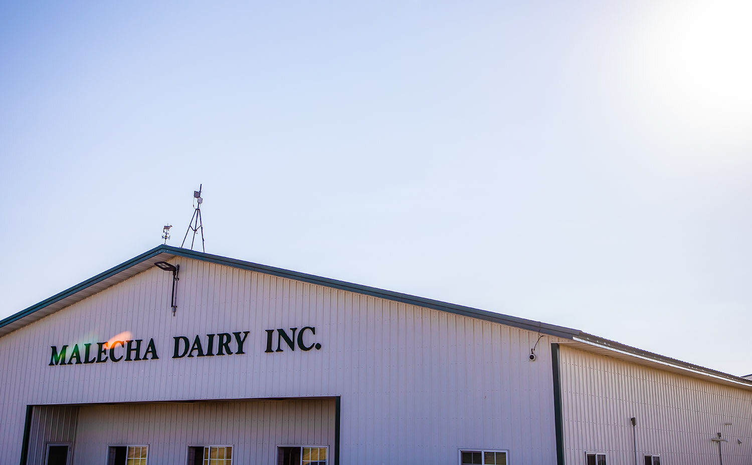 Malecha Dairy — Malecha Enterprises