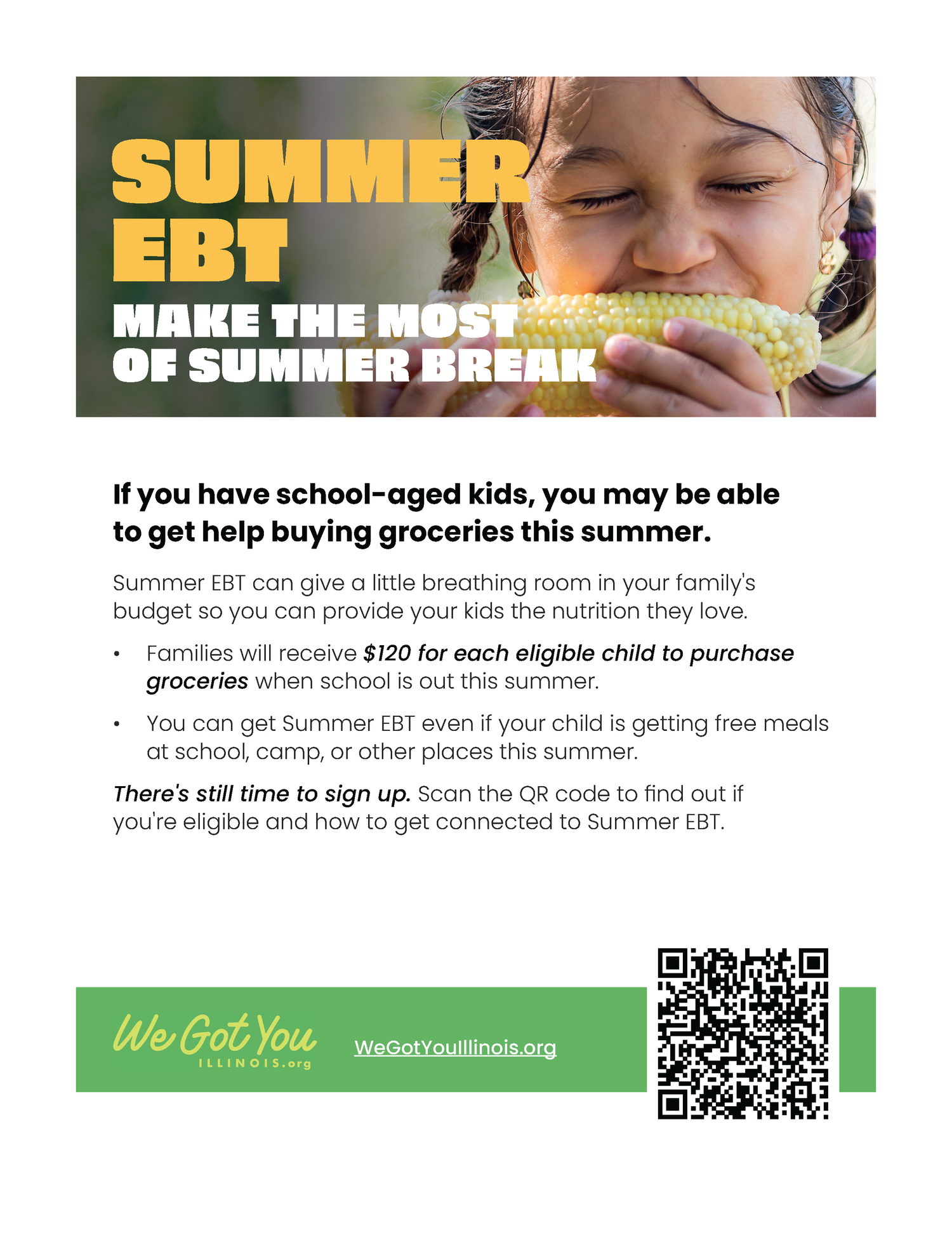 Summer EBT Posters, Flyers, and Postcards — A Roadmap to End Hunger in Illinois