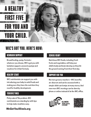 WIC Awareness Posters and Flyers — A Roadmap to End Hunger in Illinois
