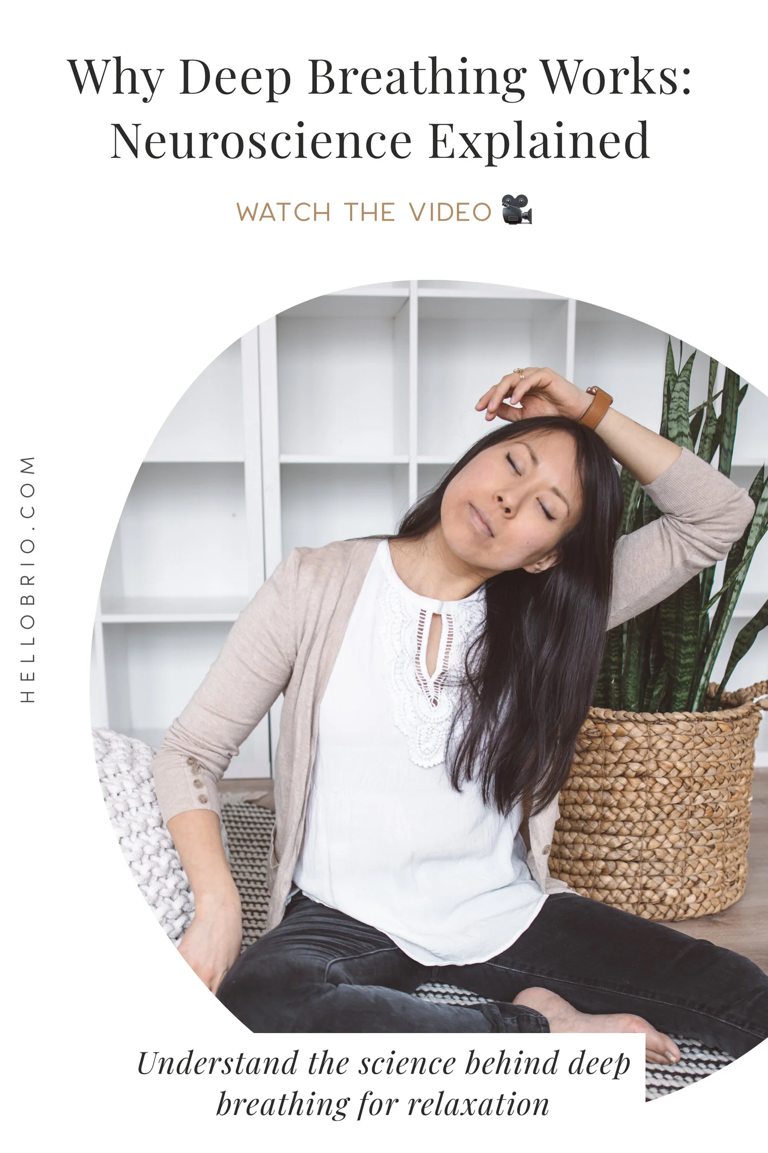 Why Deep Breathing Works: Neuroscience Explained — Hello Brio