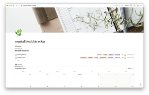 Using Notion to track PMDD symptoms and moods for mental health — Hello ...