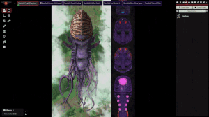 Nautiloid Map & Assets | Limithron