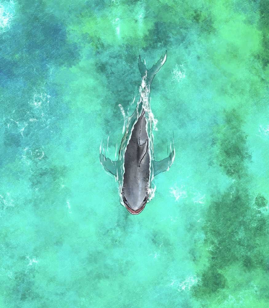 Megalodon Sahuagin Warship RPG Map by Limithron | Limithron