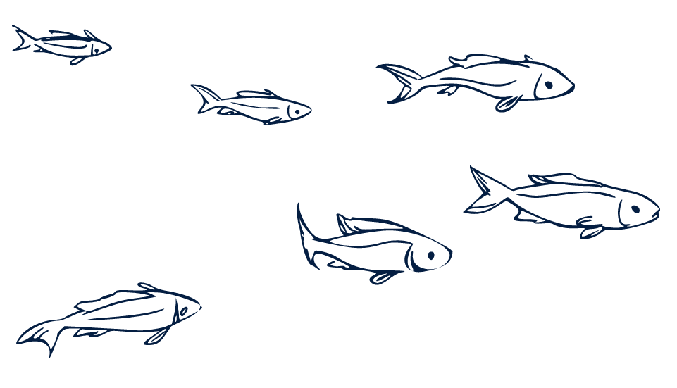 Corny Margarita — Cocktails With Corinne