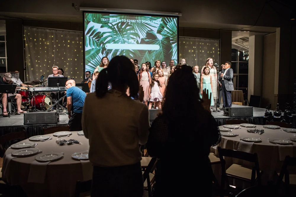 About — The Theater Bug