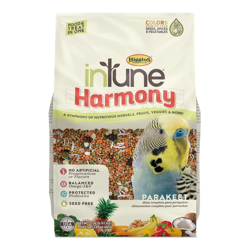 Escape Bird Food Boredom with Goldenfeast!