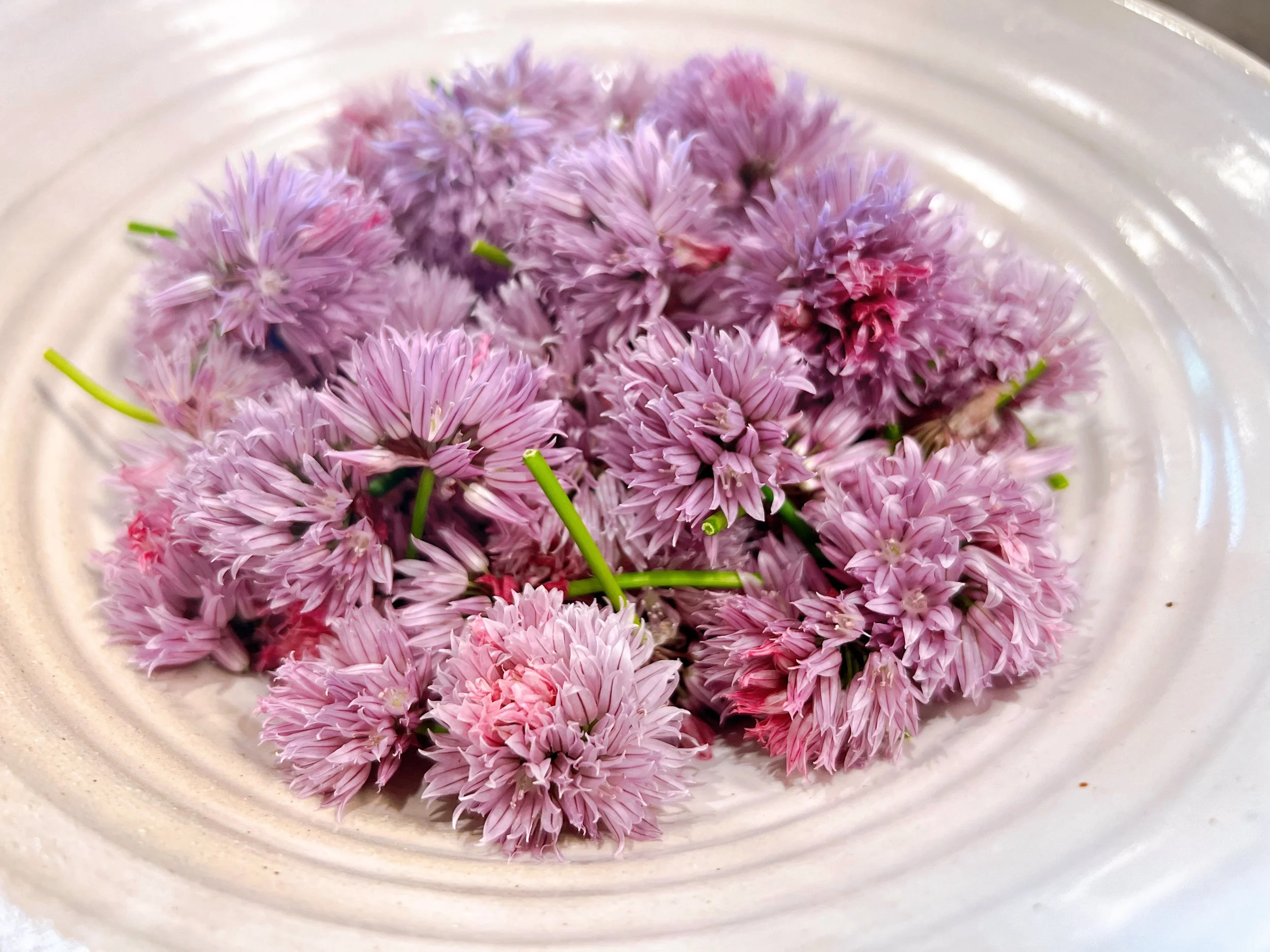 Luthun | Progressive American CuisineProgressive American Cuisine