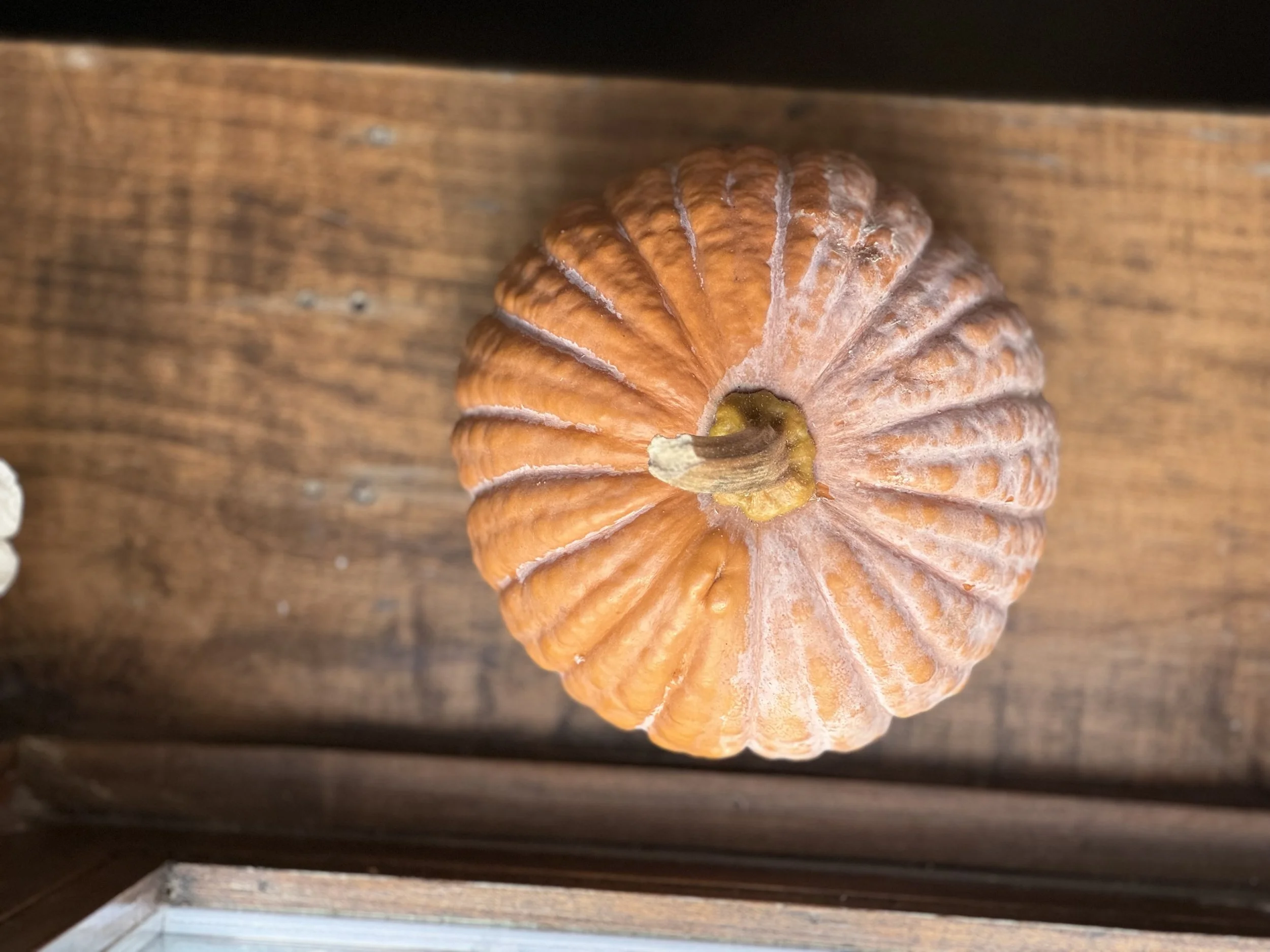 menu — Luthun | Progressive American Cuisine