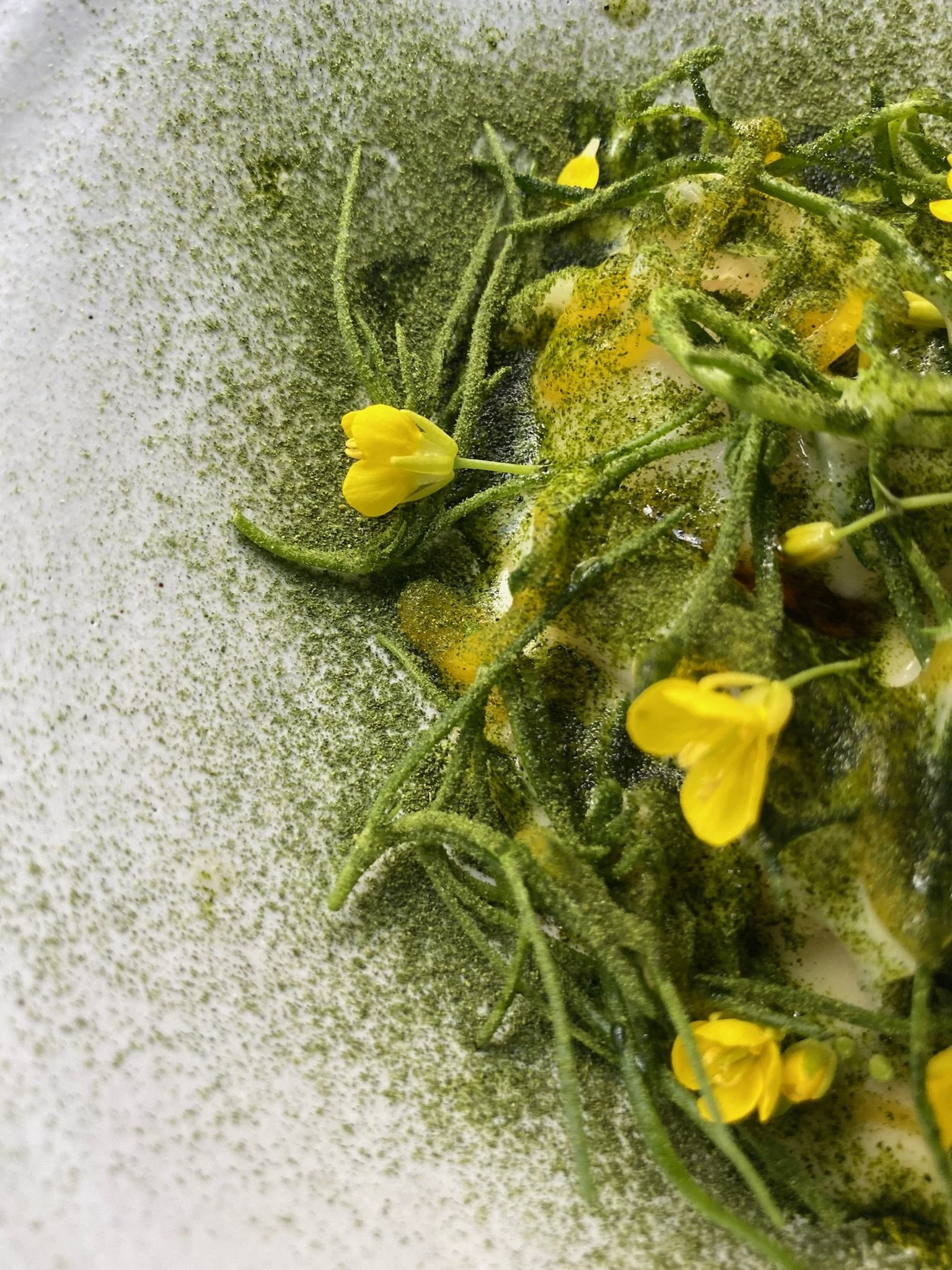 MENU — Luthun | Progressive American Cuisine