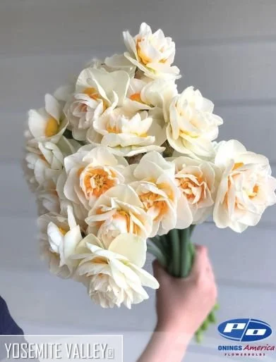 Shop — Valley View Farm