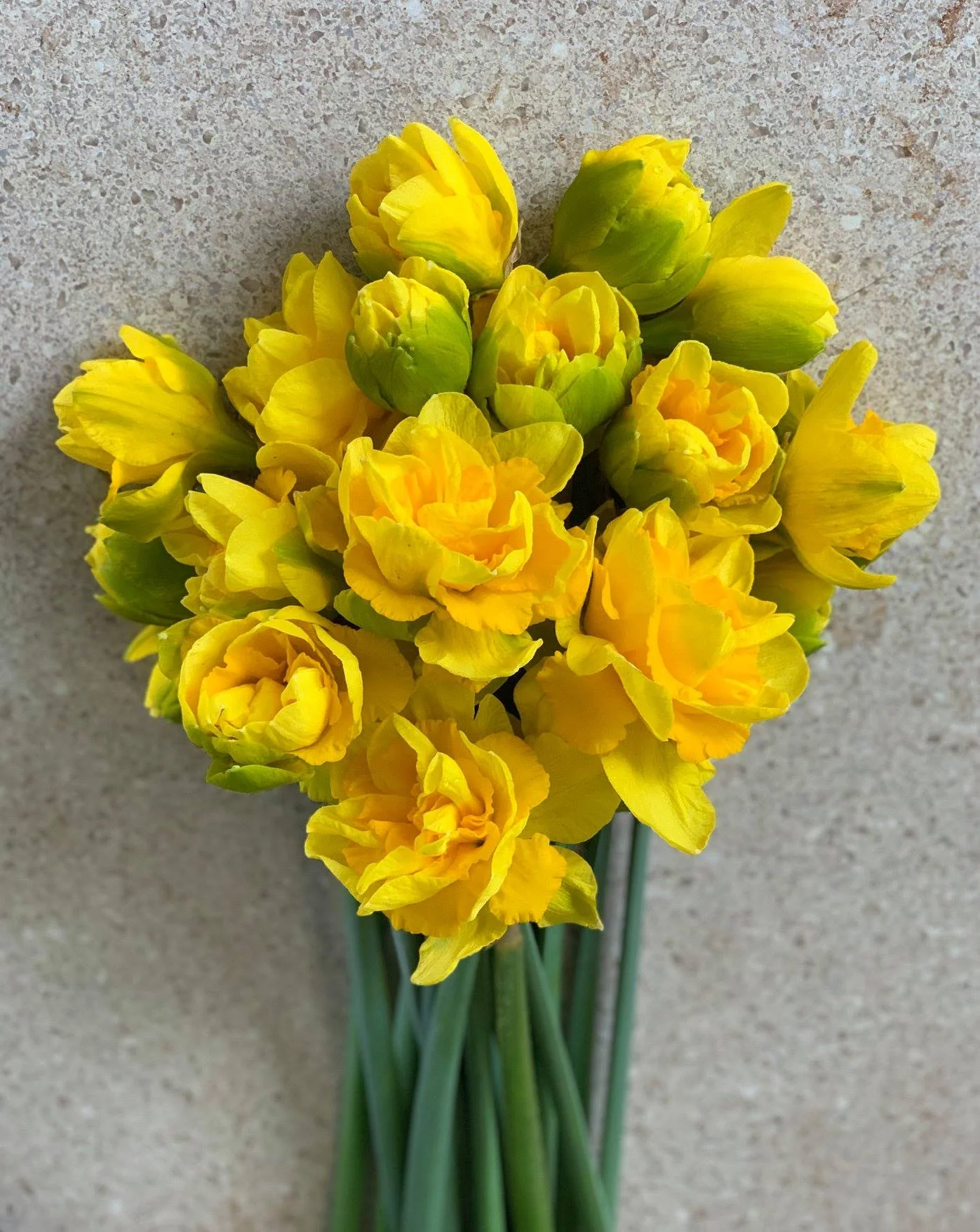 Shop — Valley View Farm