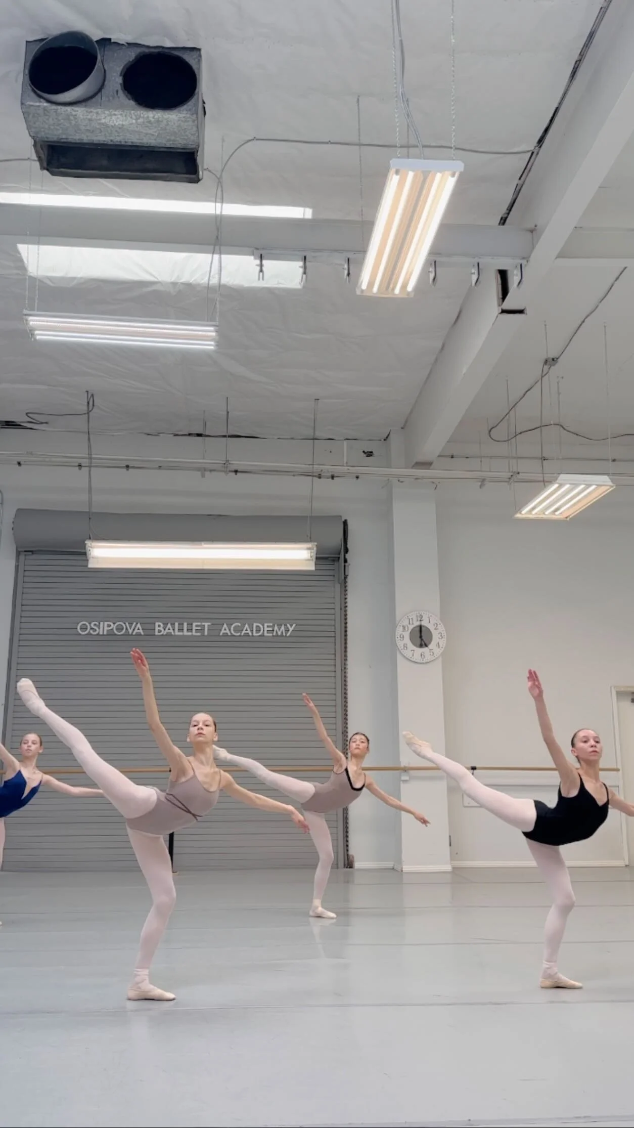 New Student Application Form | Osipova Ballet Academy