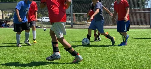 Fall Soccer — Beacon Hill Soccer Club