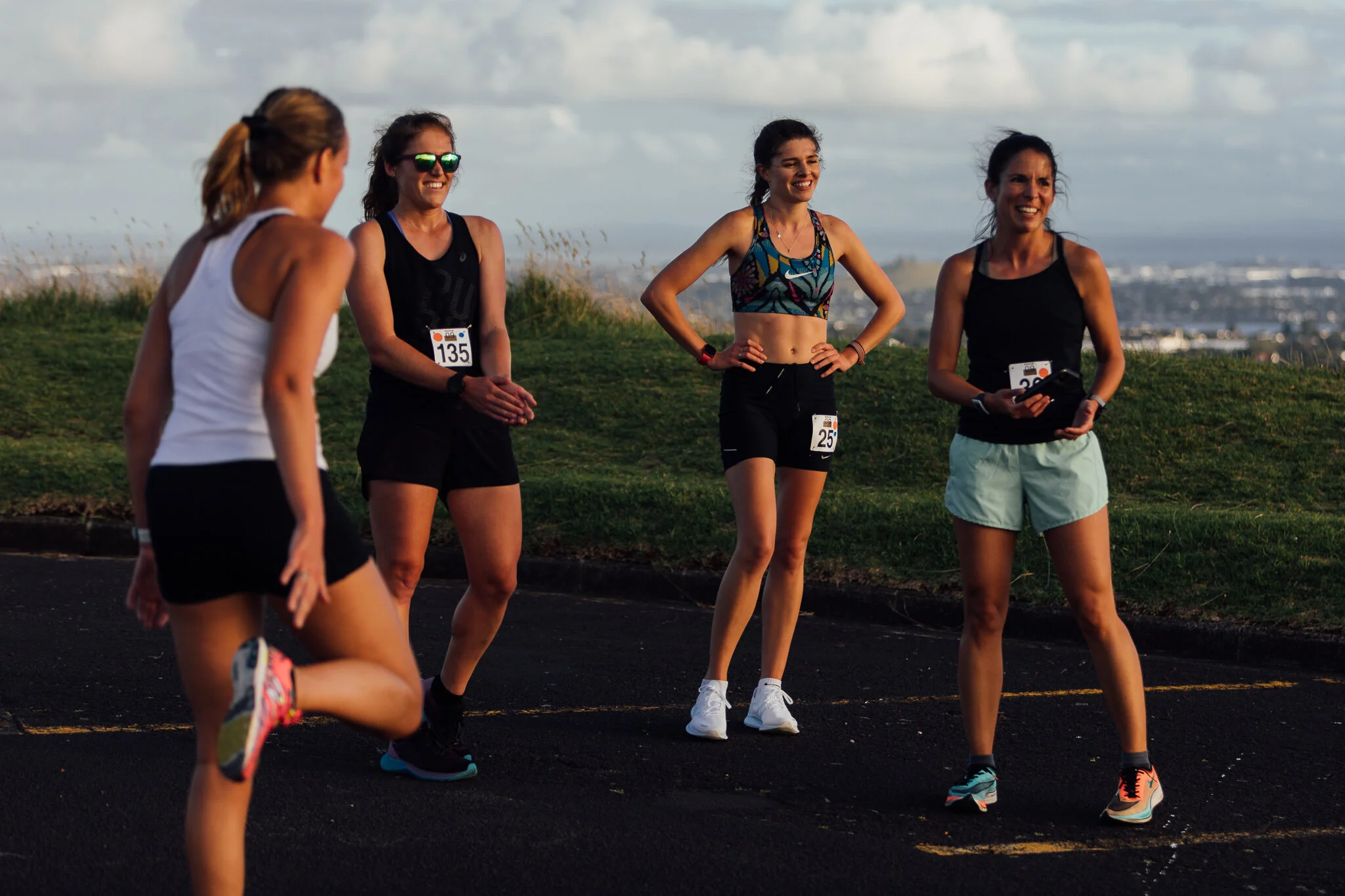 Whippets Running Project