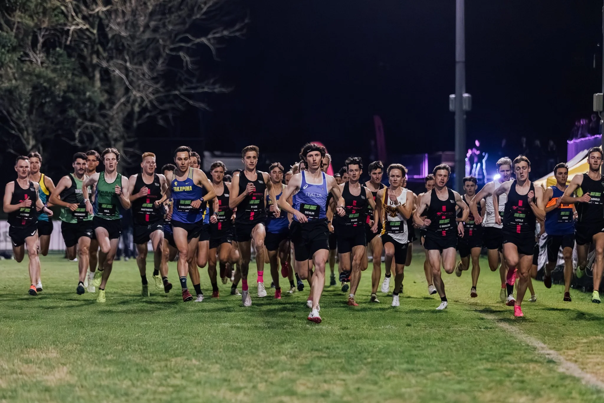 Whippets Running Project