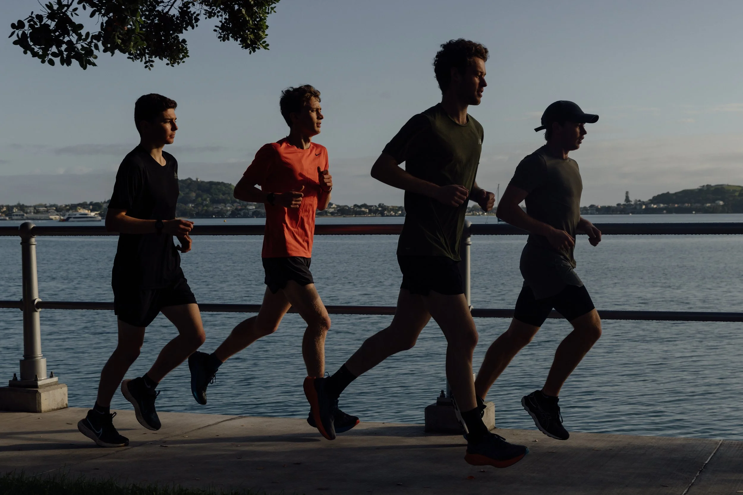 Membership — Whippets Running Project