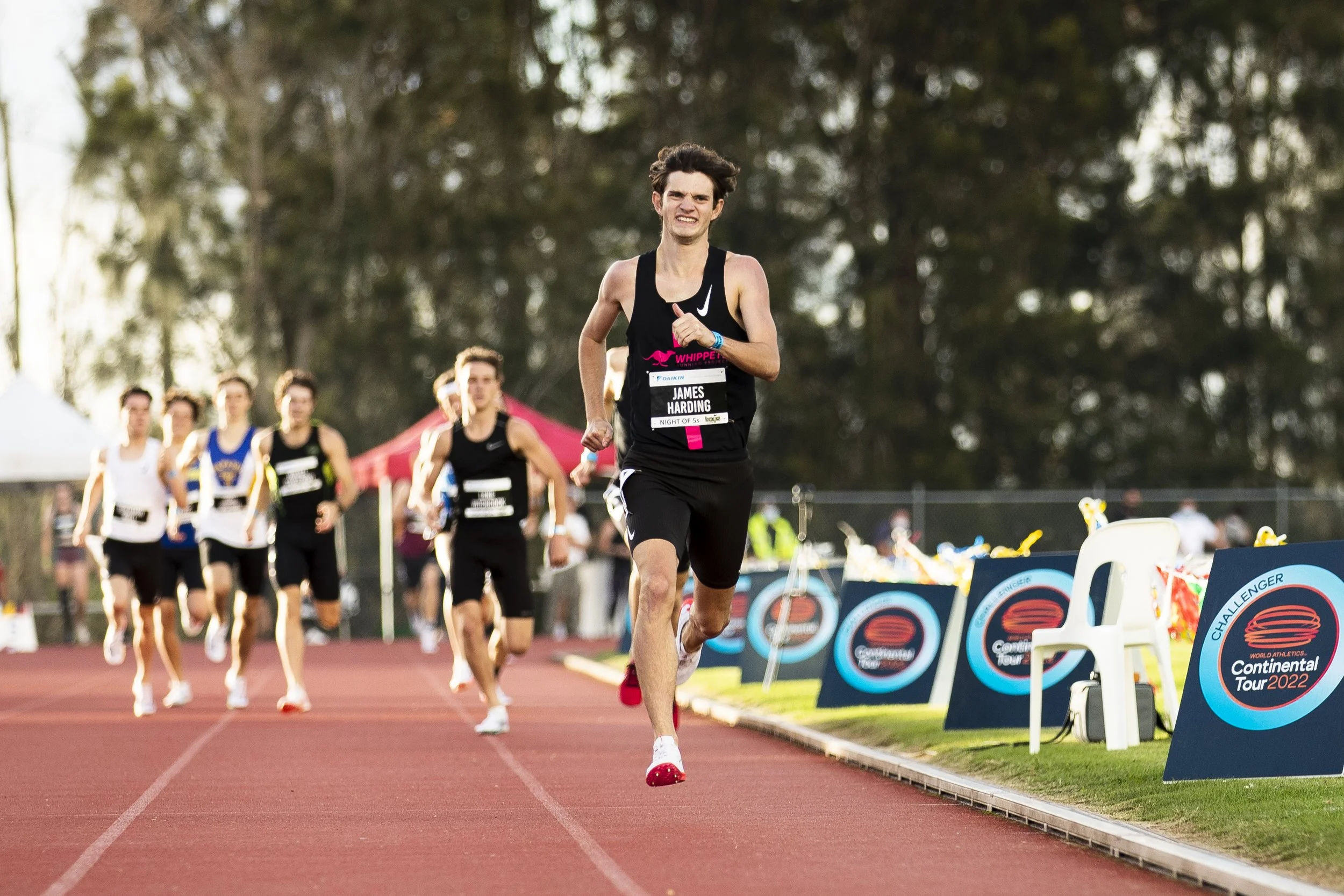 About — Whippets Running Project