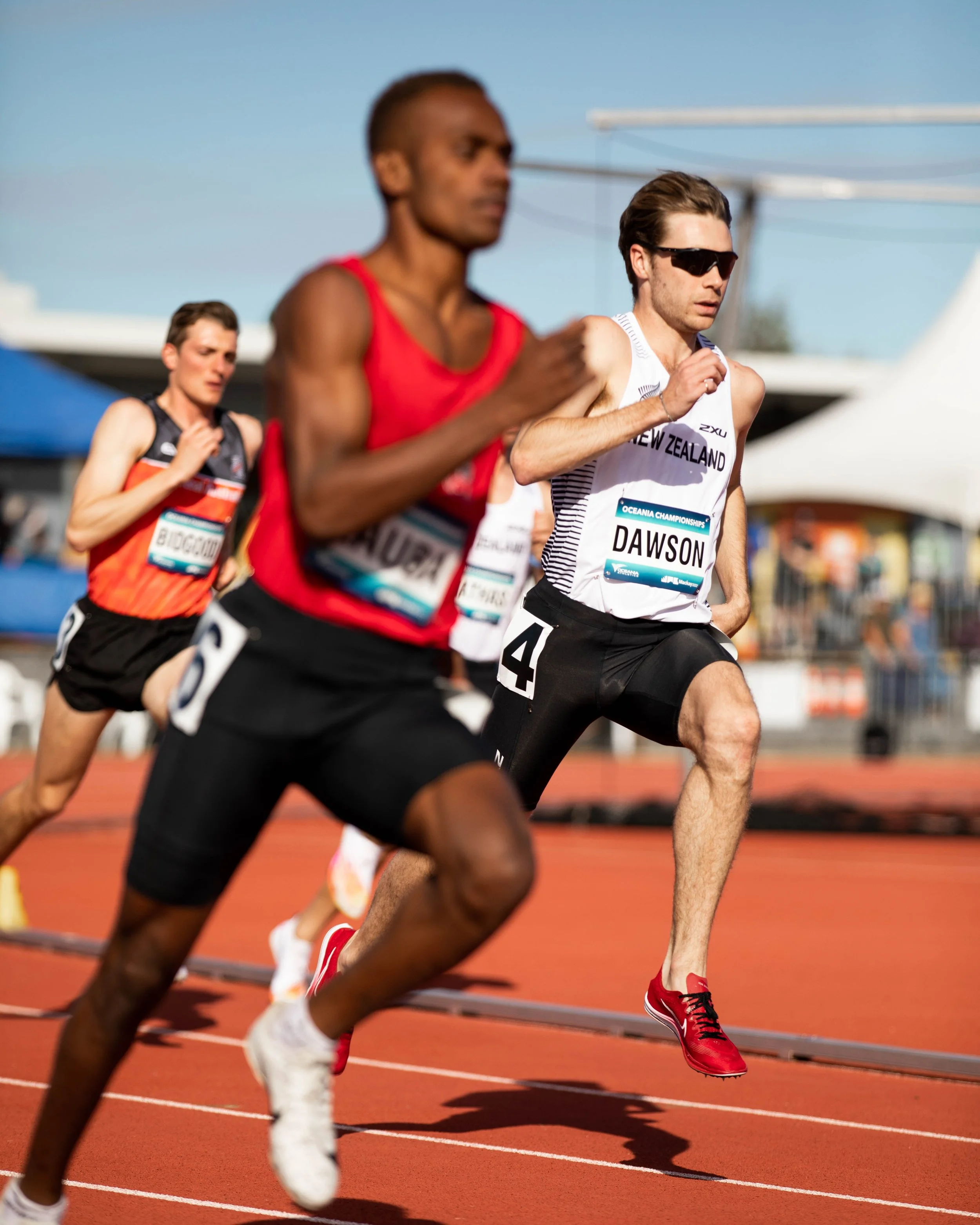 About — Whippets Running Project