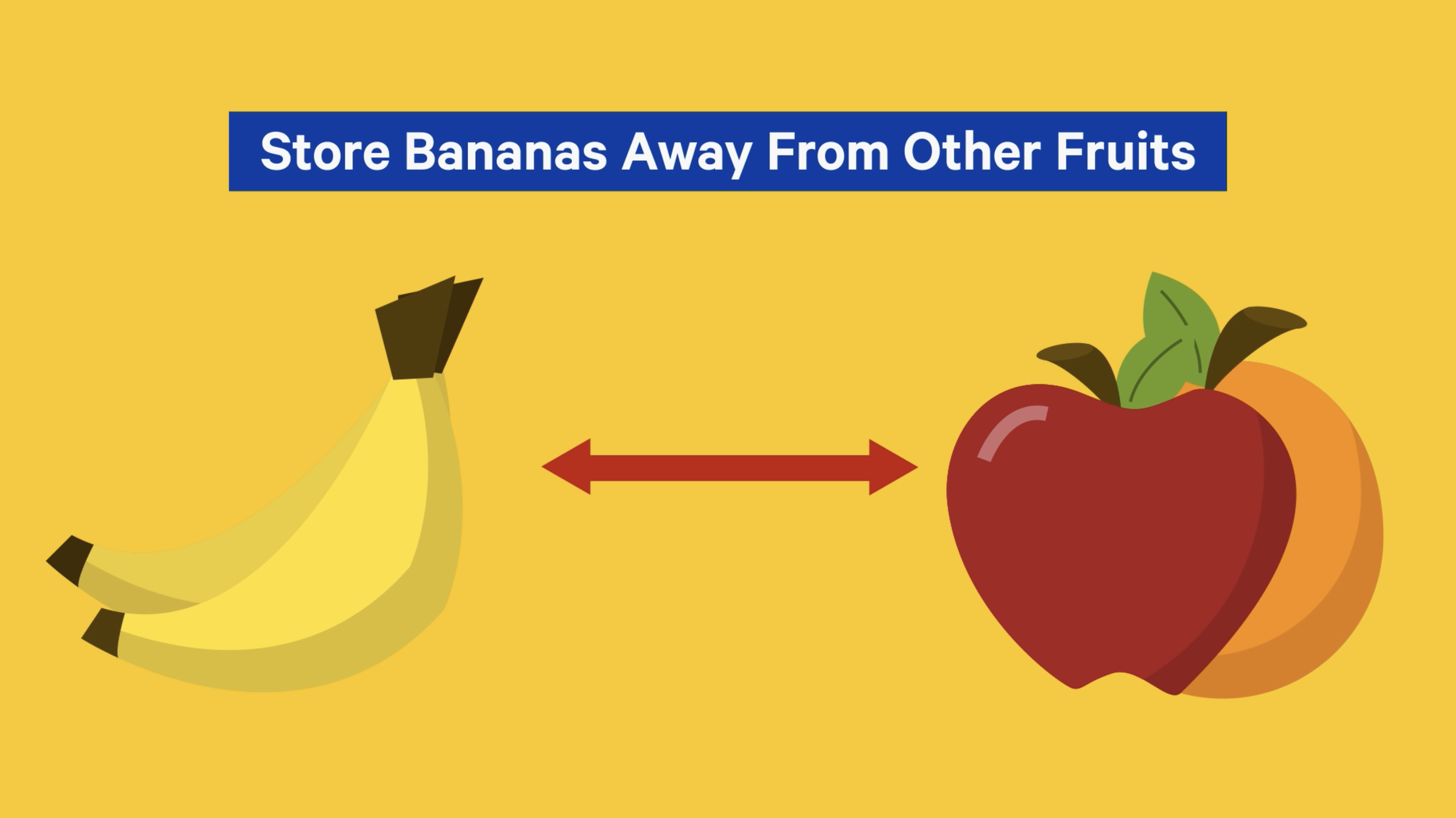 Work — VIA Creatives | Seattle Video Production