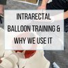 Intrarectal Balloon Training: How it can help you with your bowel ...