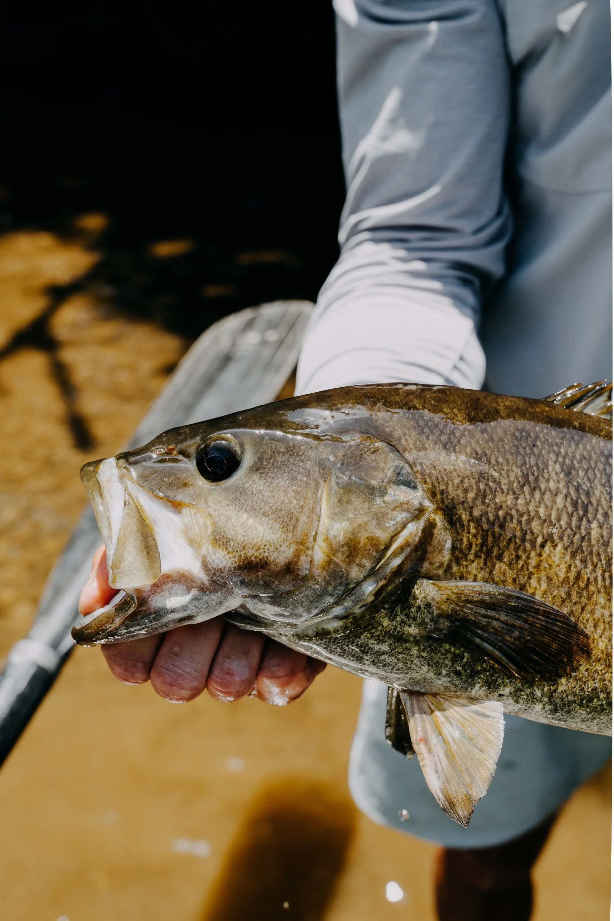 Smallmouth Fishing Guide
