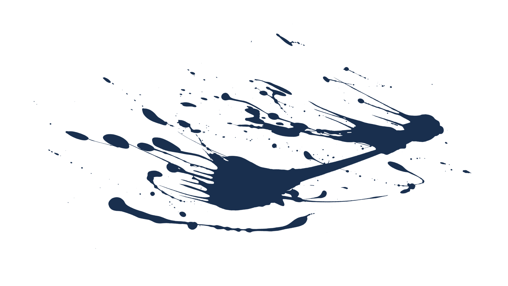 Action Photography — PhotoMules