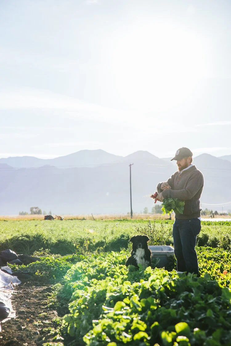 Our Producers — Northwest Food Hub Network