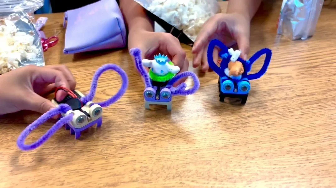 BattleBots Team Valkyrie