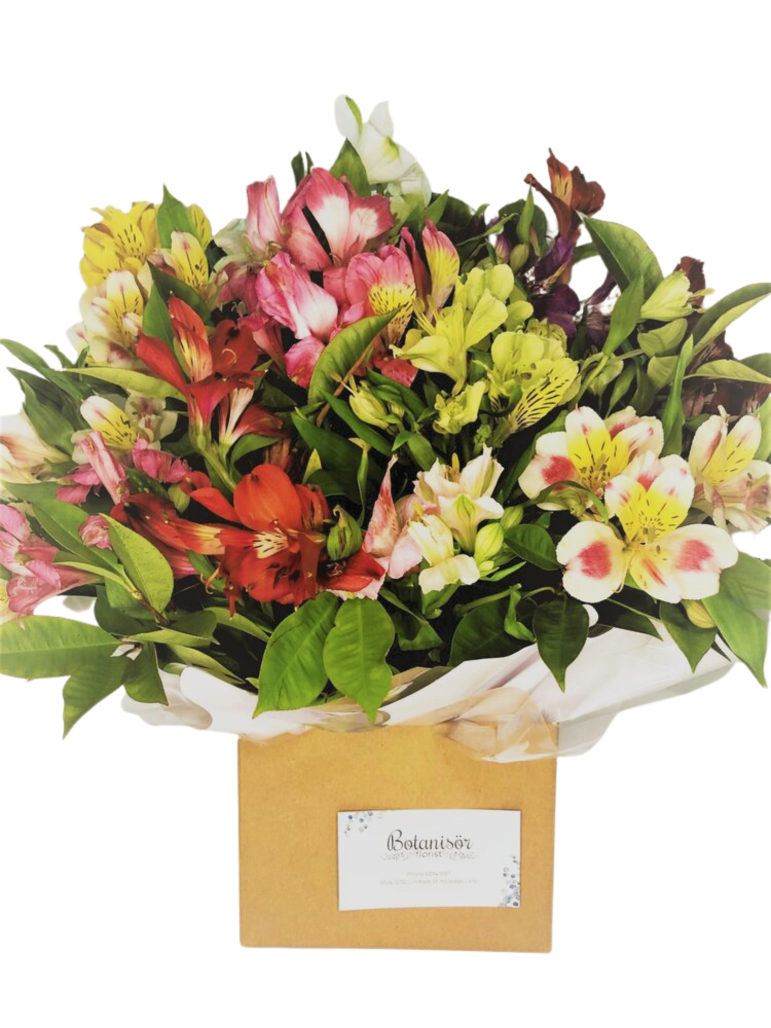 Flower Delivery Launceston | Botanisor Florist