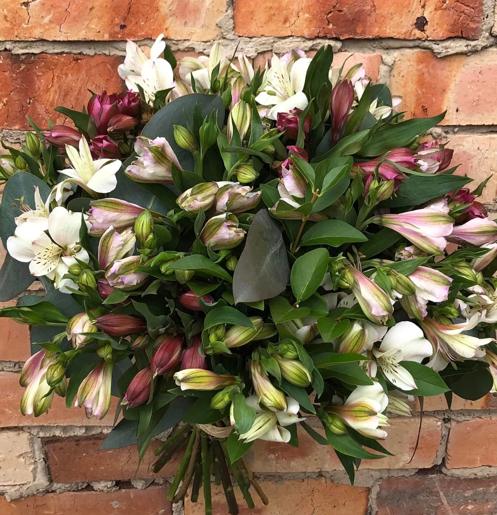 Botanisor Florist | Launceston, Tasmania | Same Day Delivery