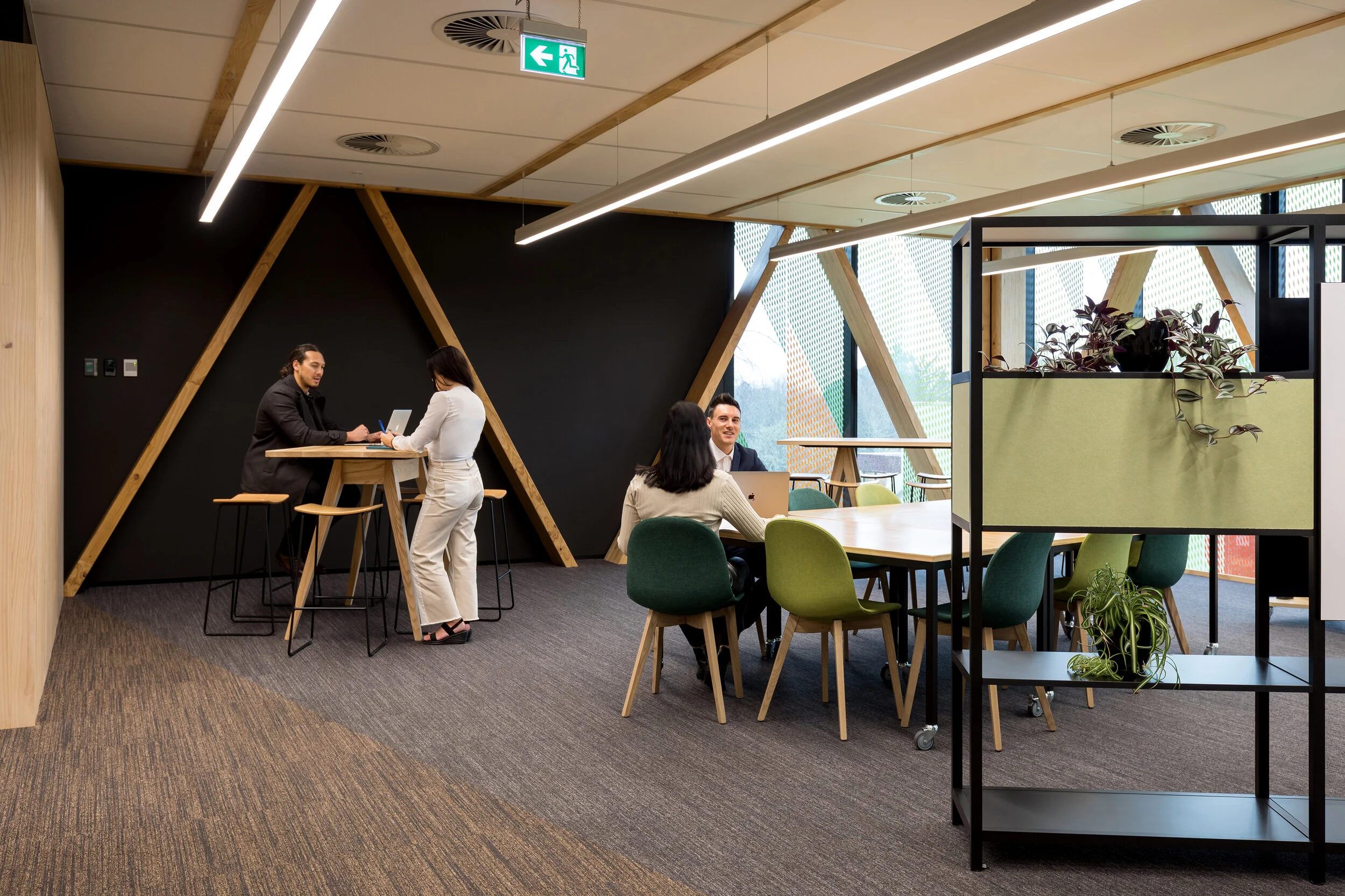 Scion Innovation Hub | Rotorua — Commercial furniture solutions ...