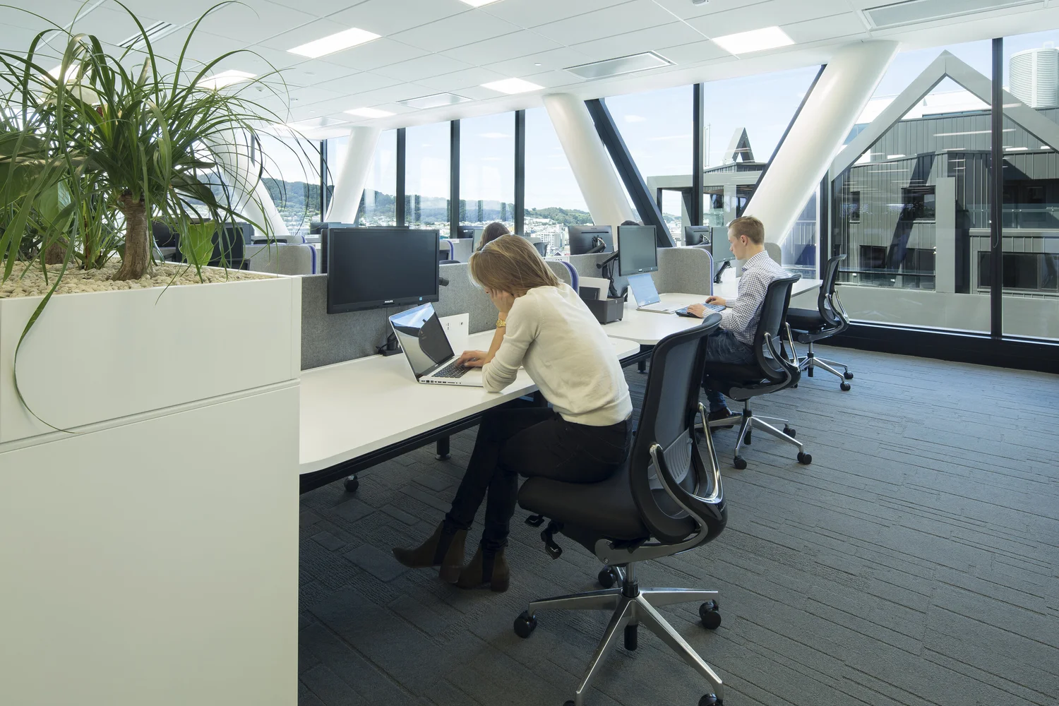 Deloitte | Wellington — Commercial furniture solutions | Aspect Furniture