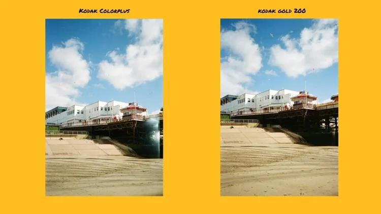 Kodak Colorplus VS Kodak Gold - Which Is The Best? — Max Kent