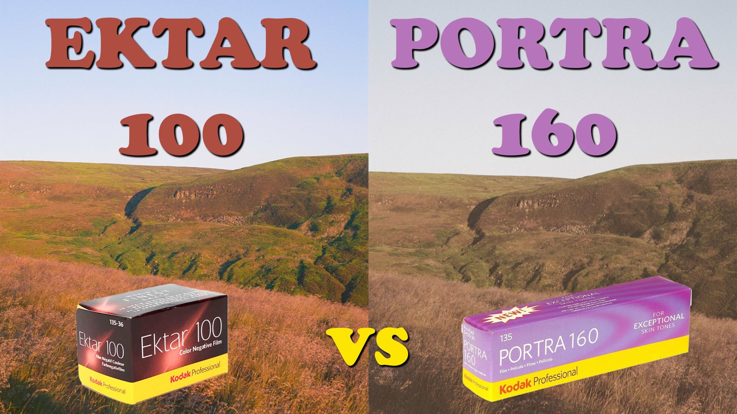 Kodak Portra 160 VS Kodak Ektar 100 - What's The Difference? — Max Kent