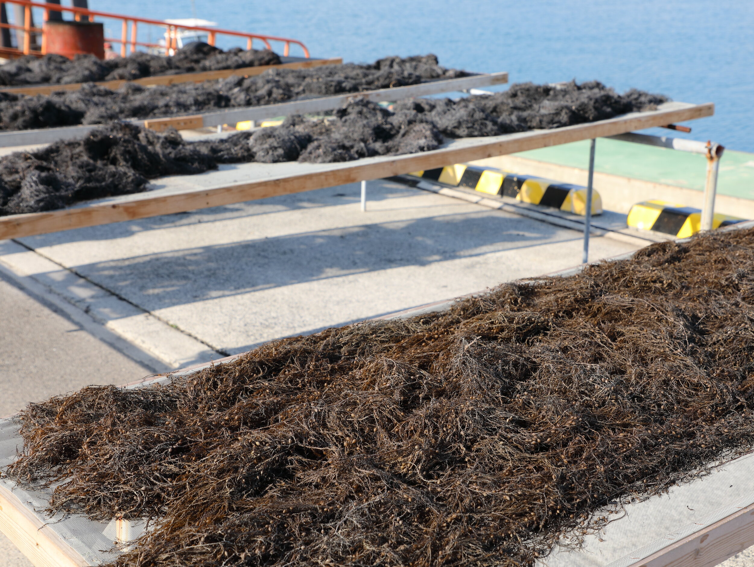 Amabito no Moshio : Seaweed Salt — THE SETOUCHI COOKBOOK