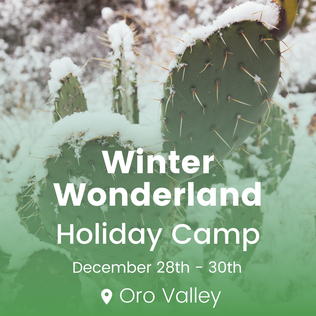 Christmas Break Camp