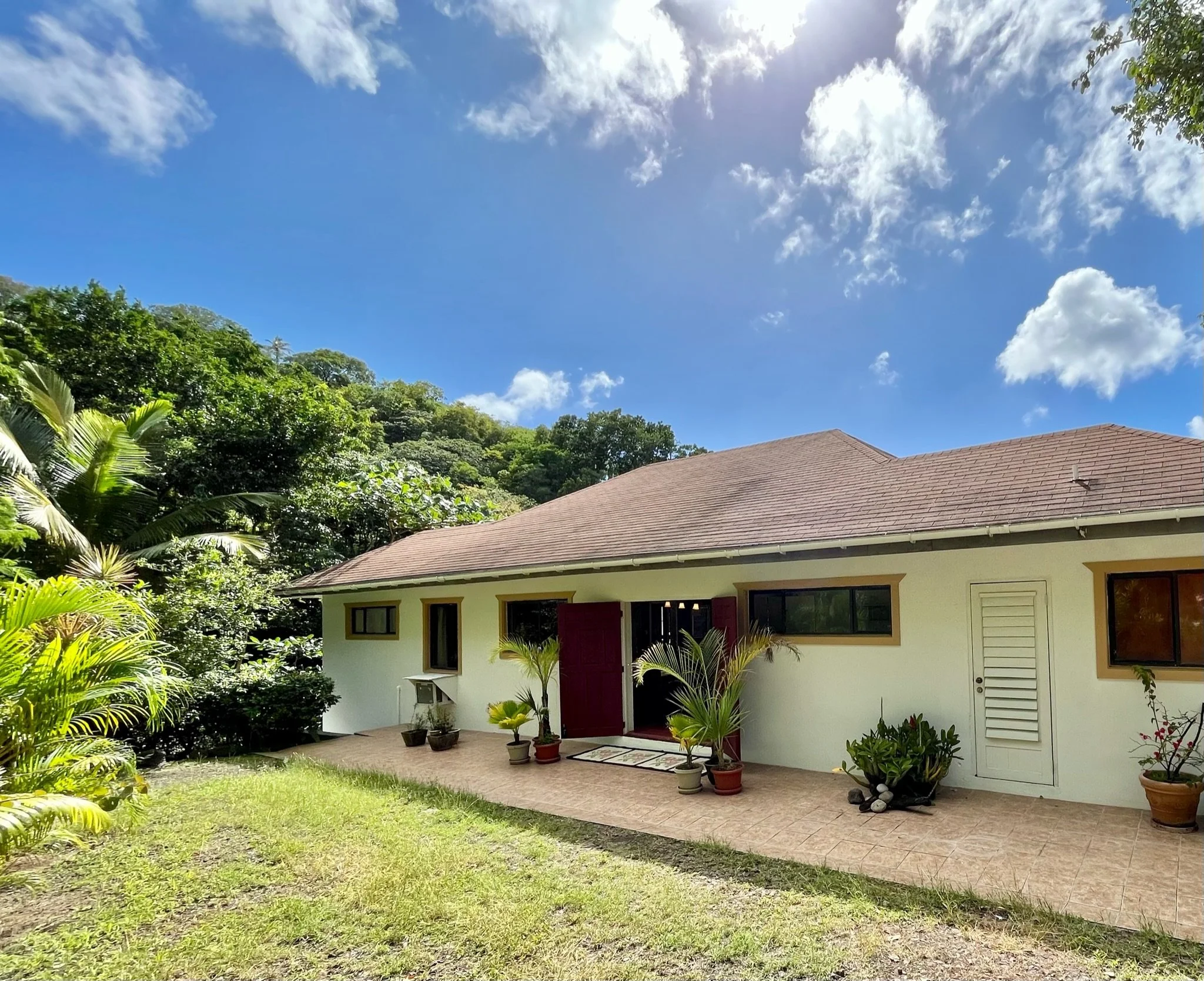 Mango Grove — mni.villas