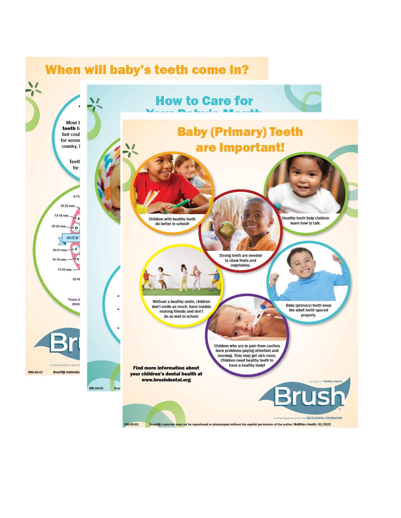 Brush Curriculum Basic Kit — Brush Dental