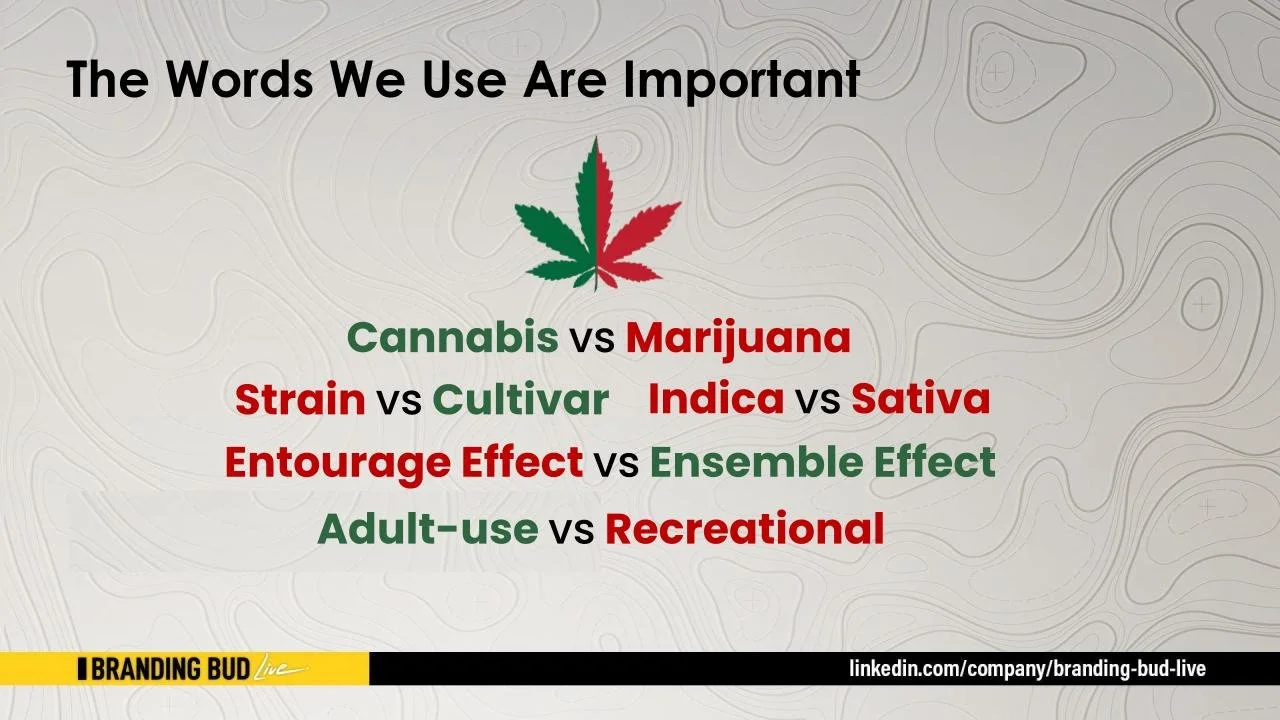 Cannabis vs Marijuana - Branding Bud Live Episode 40 | BRANDING BUD ...