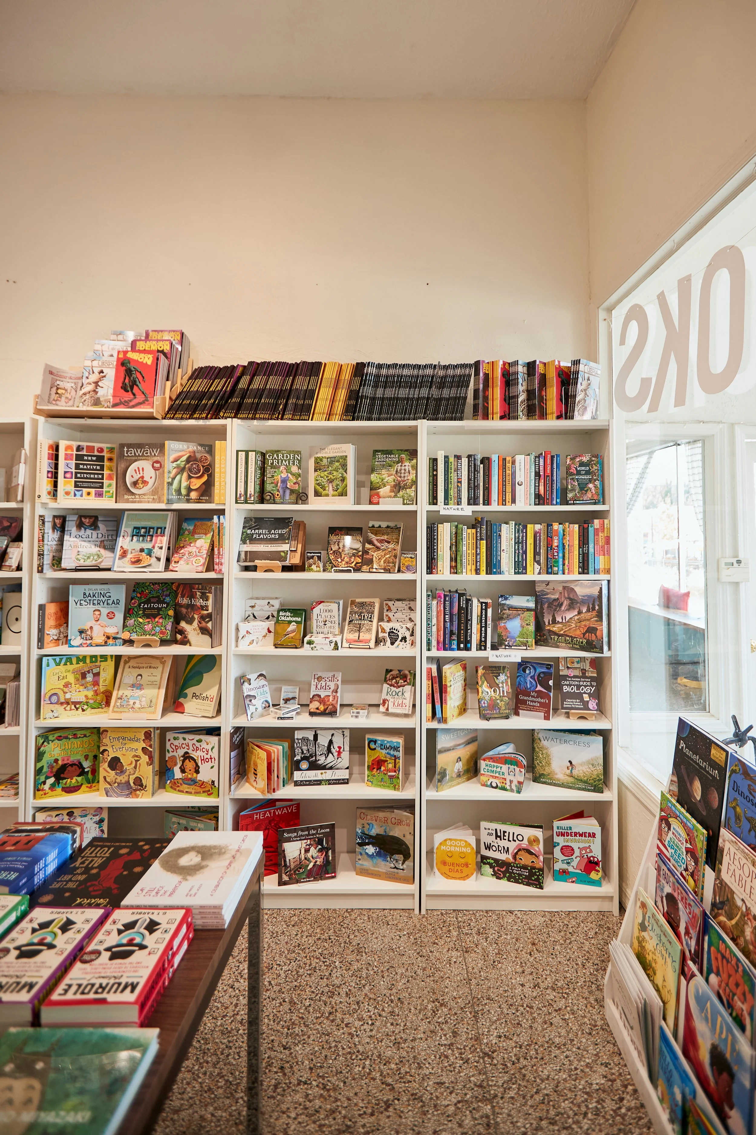 Literati Press Comics & Novels
