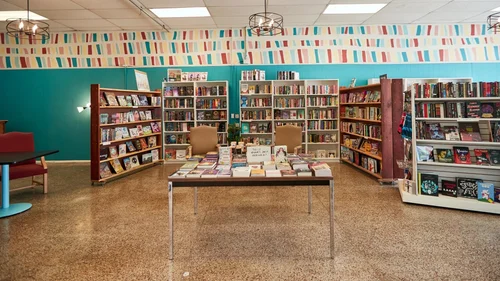 Literati Press Comics & Novels