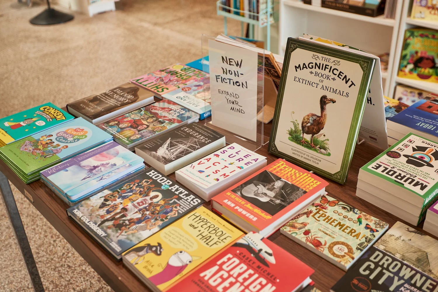 Literati Press Comics & Novels
