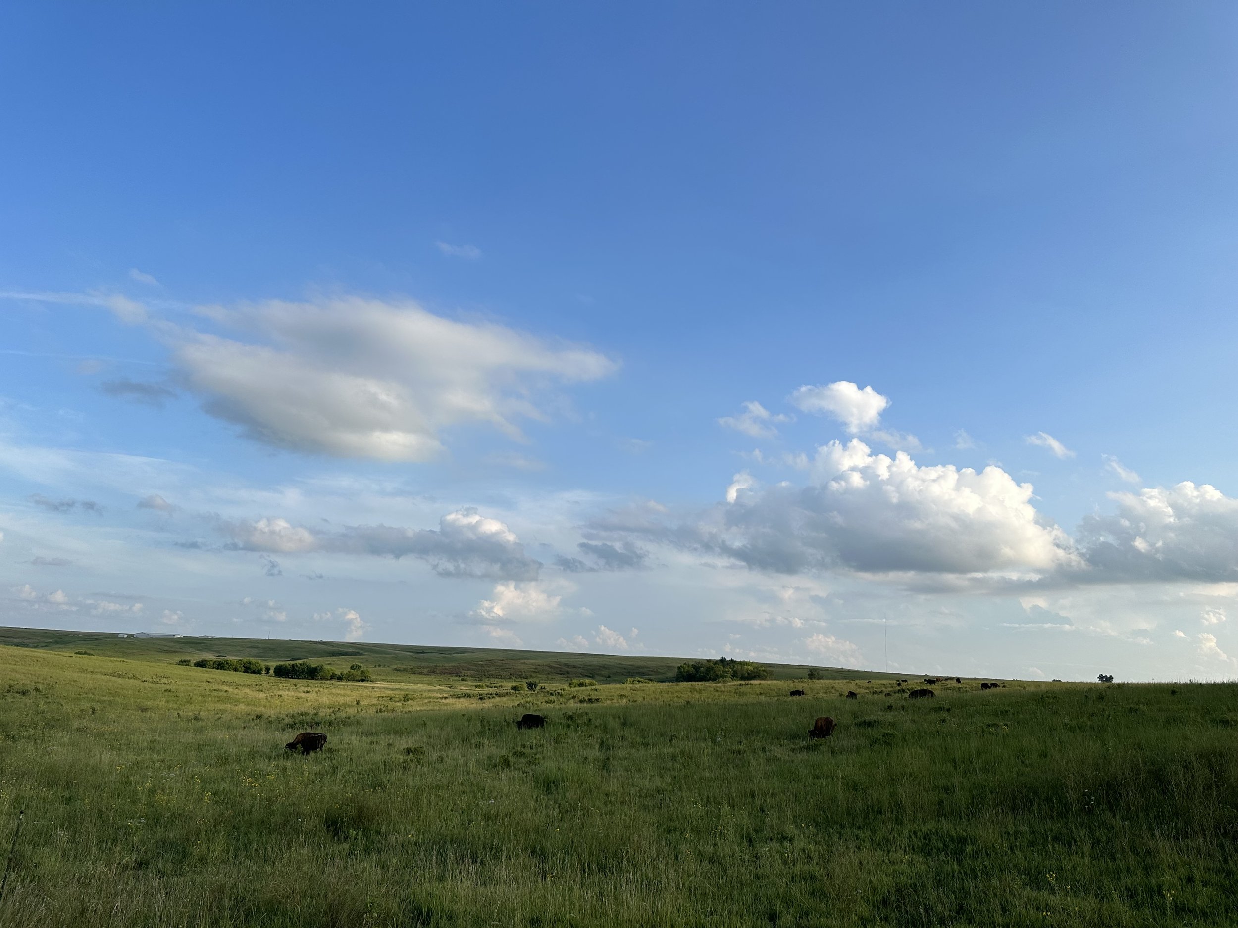 S.LA \ SEELMAN LANDSCAPE ARCHITECTURE