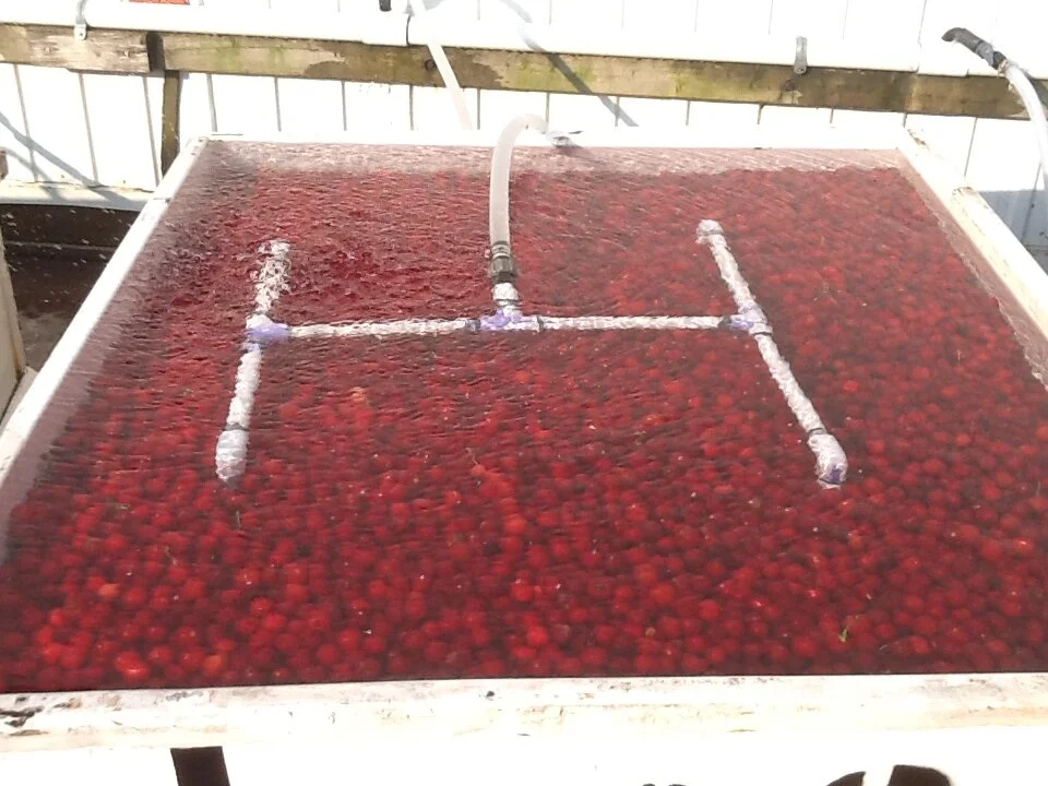 General 2 — Delhaven Orchards